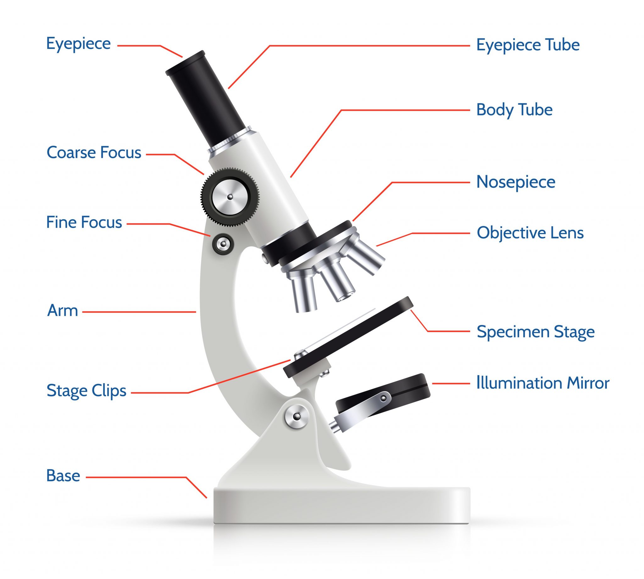 Objective Lenses: Designing and Assembling for Microscopes - Avantier Inc.