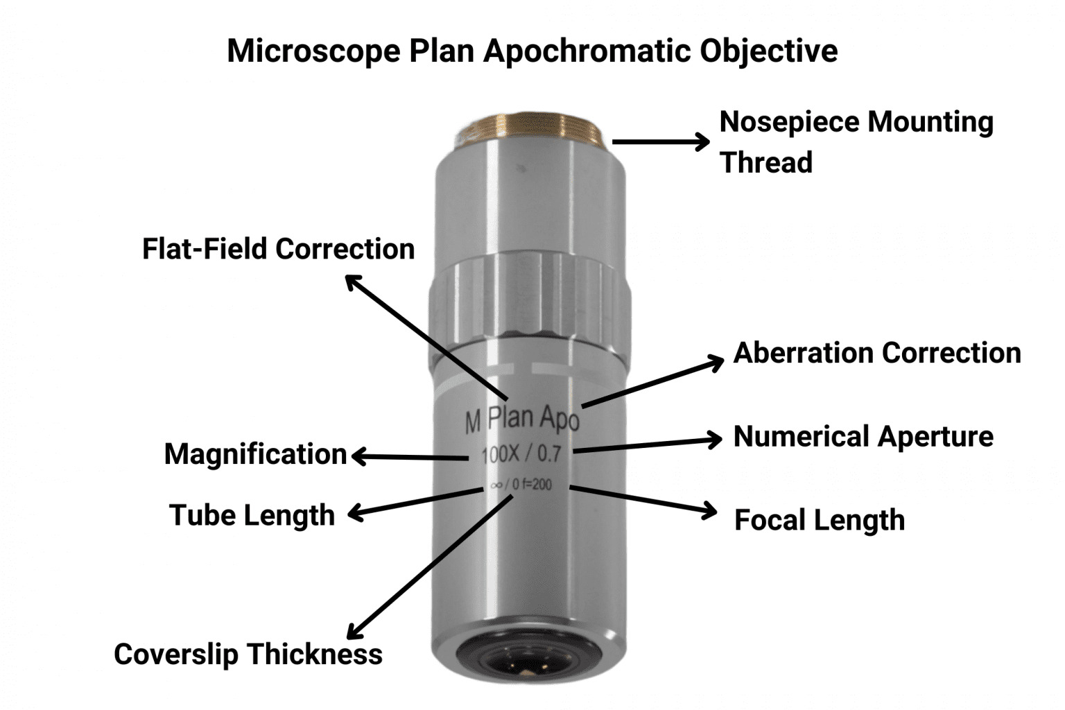 Objective Lenses: Designing and Assembling for Microscopes - Avantier Inc.