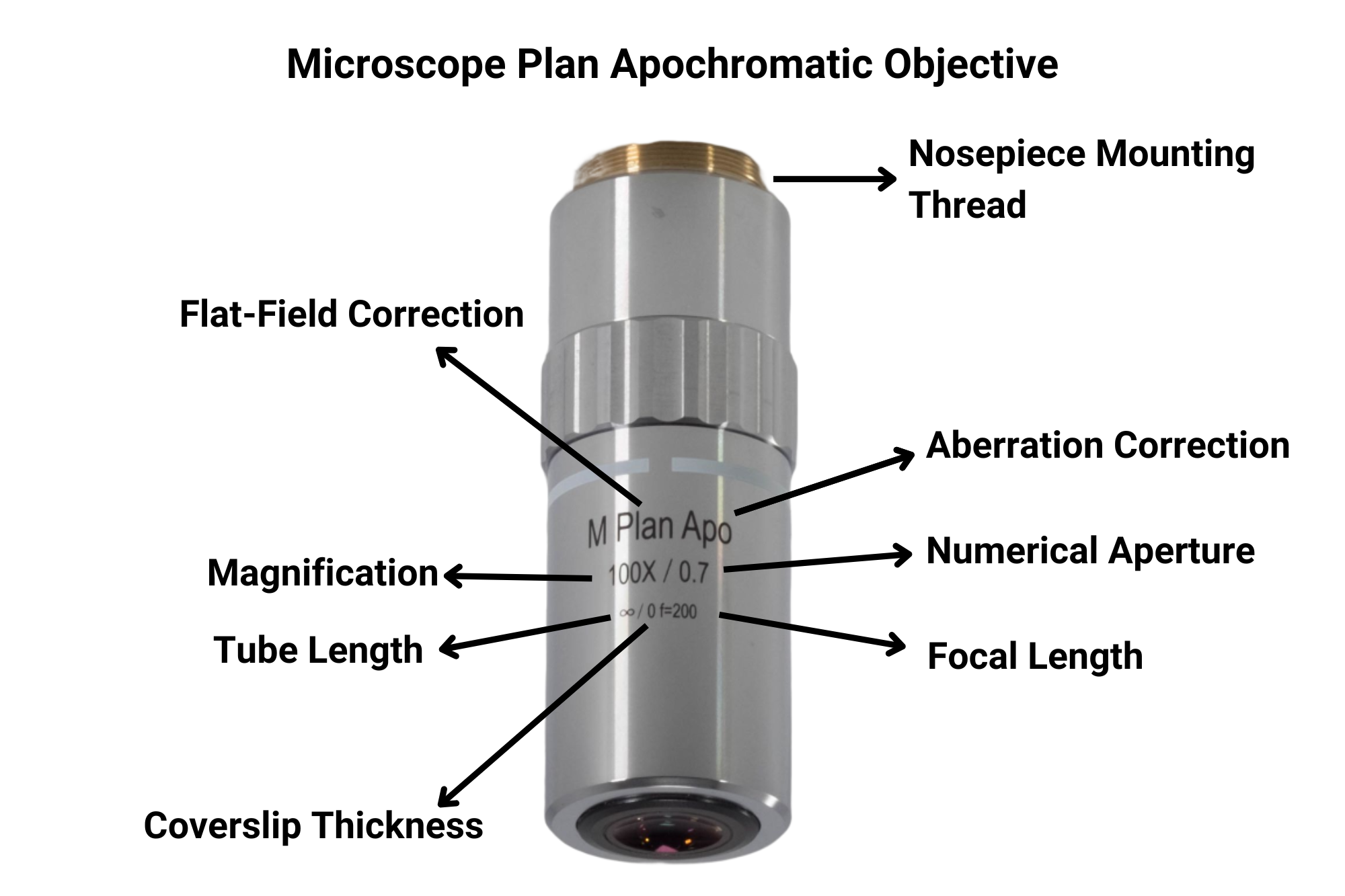 Objective Lenses: Designing and Assembling for Microscopes - Avantier Inc.