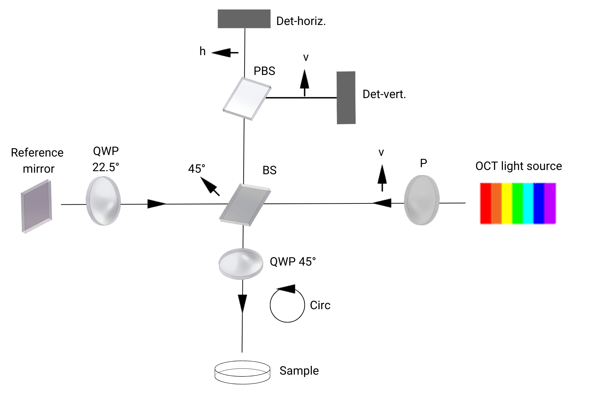 Medical Imaging: Capabilities and Applications – OCT Part 4 | Laser ...