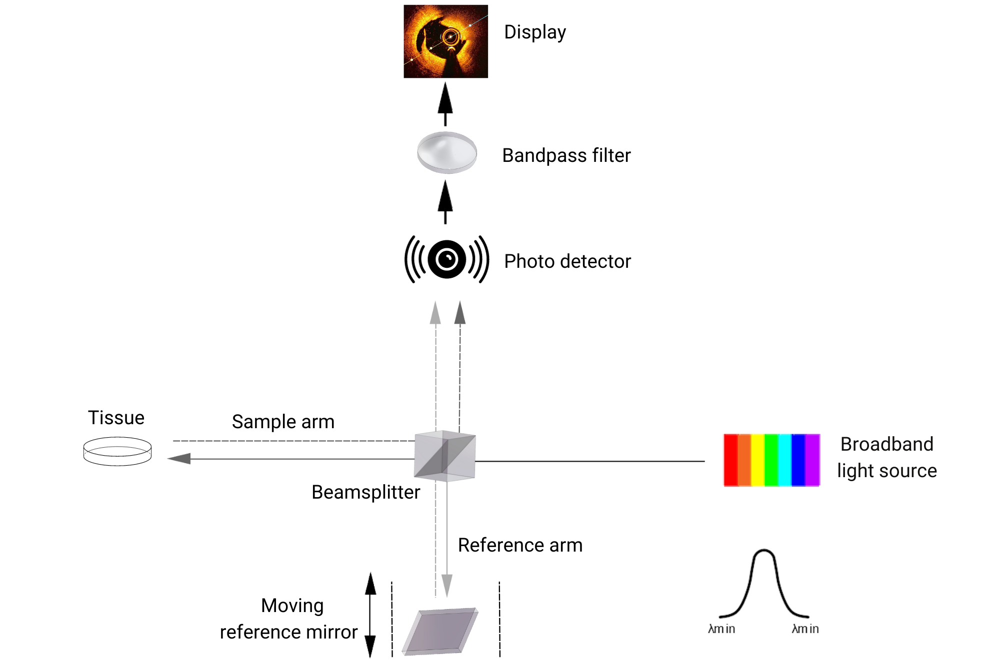 Optical Coherence Tomography in Medical Imaging: Part 4