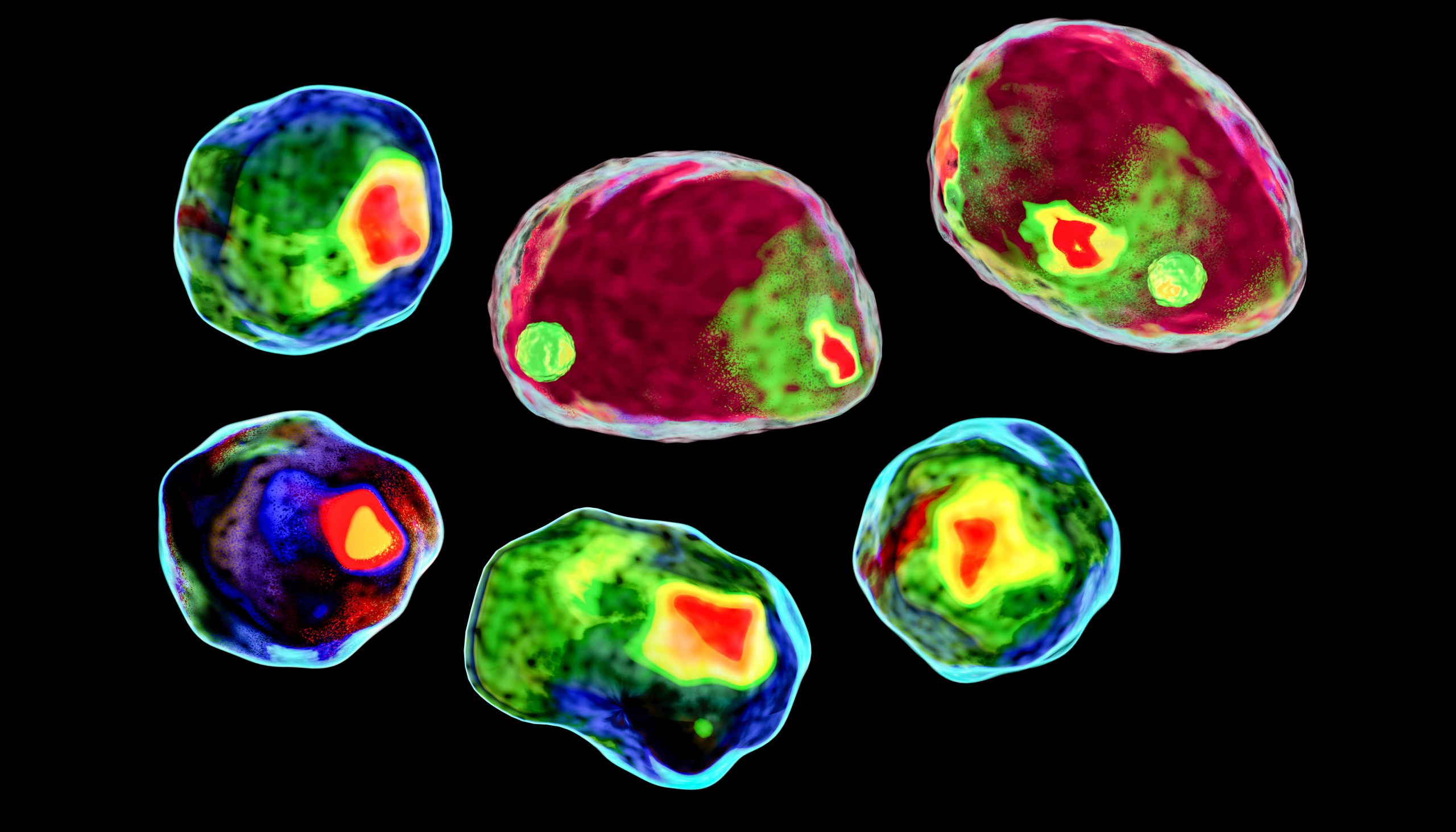 Flow Cytometry Part 1: Illuminating Cellular Diversity & Analysis