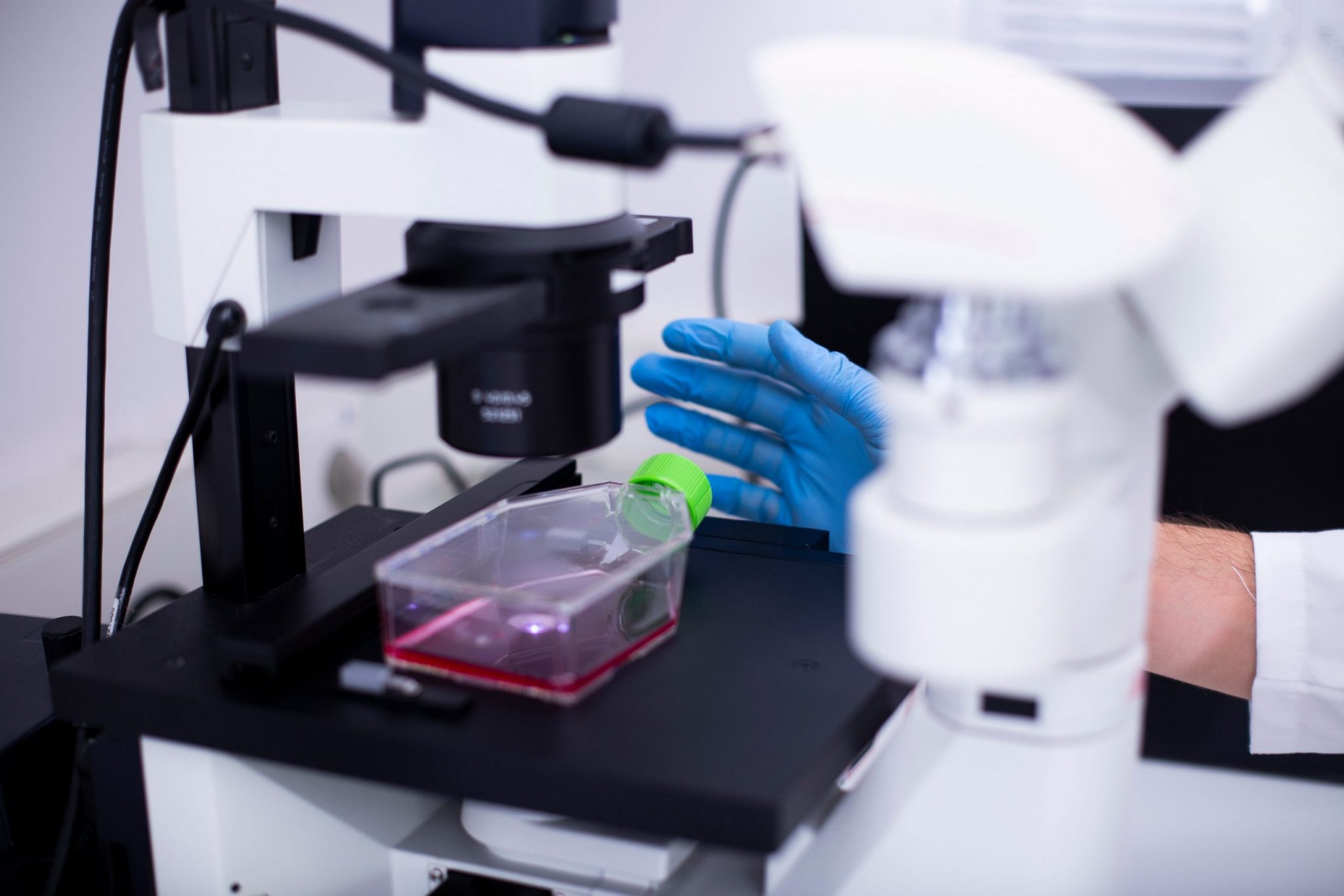 Biophotonics: Optics and Biological Systems - Avantier Inc.