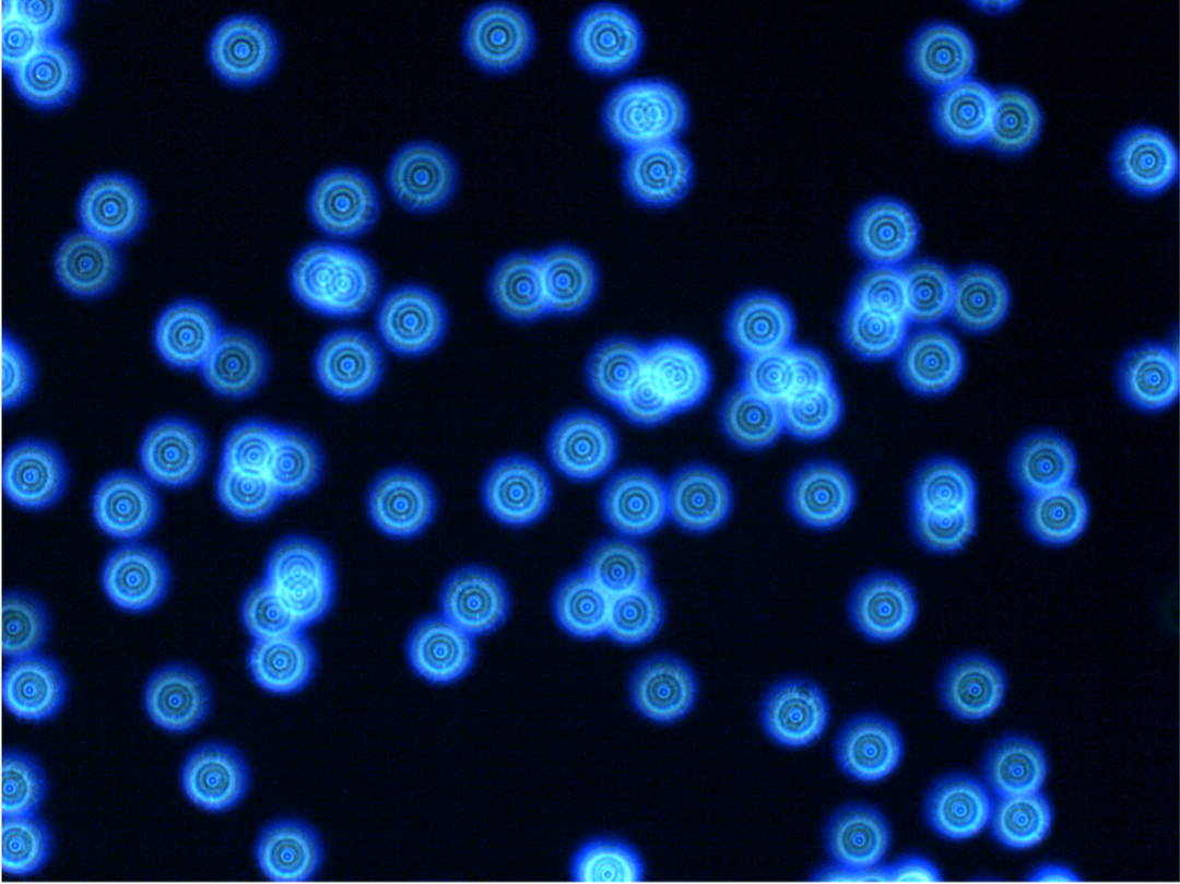 Manufacturing Advanced Objective Lenses - Avantier Inc.