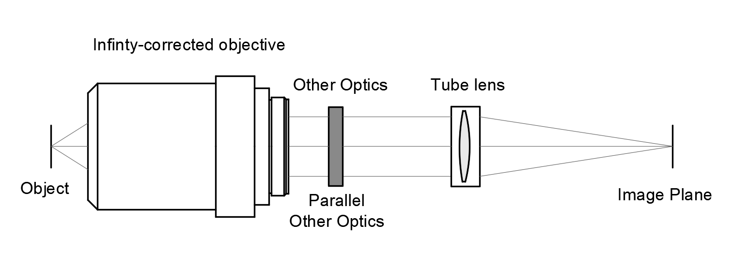 A Comprehensive Microscope Objective Guide - Avantier Inc.