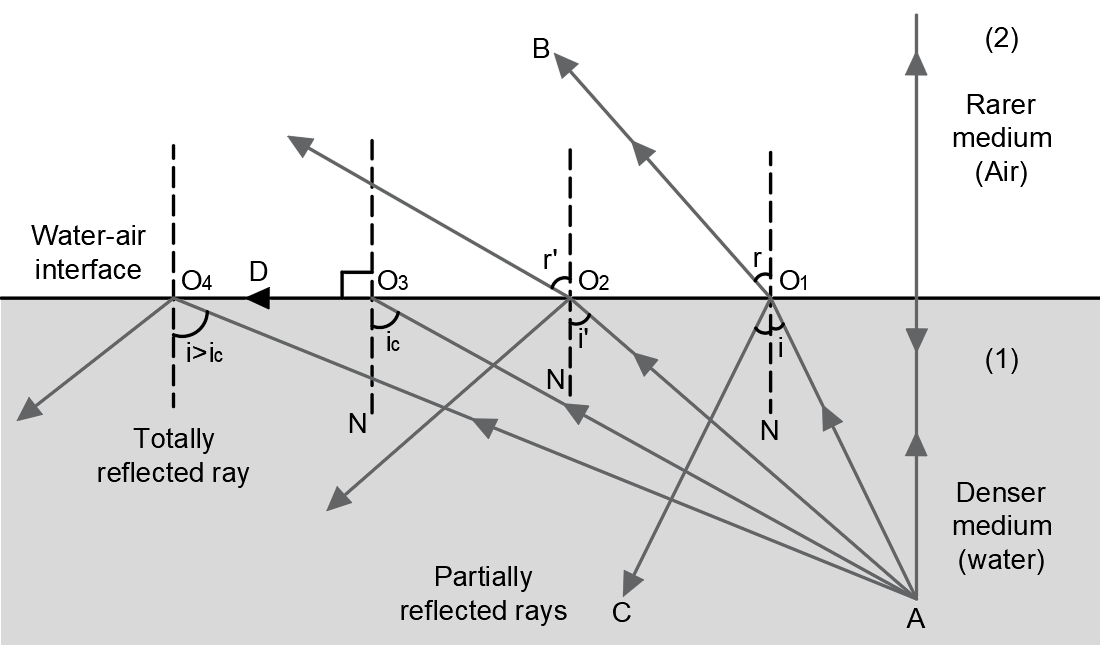 Light and Optics: An Introduction to Physics & Rays