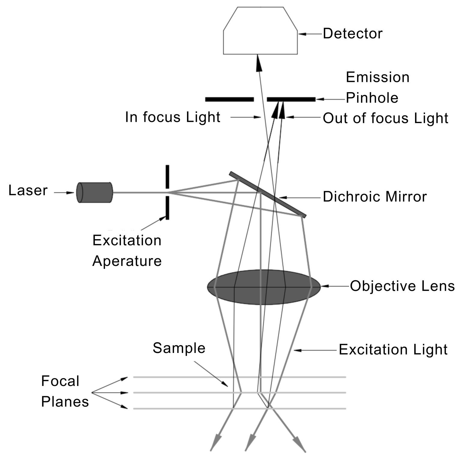 The Complete Guide To Microscope Objective Lens Avantier Inc