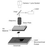 The Complete Guide to Microscope Objective Lens - Avantier Inc.