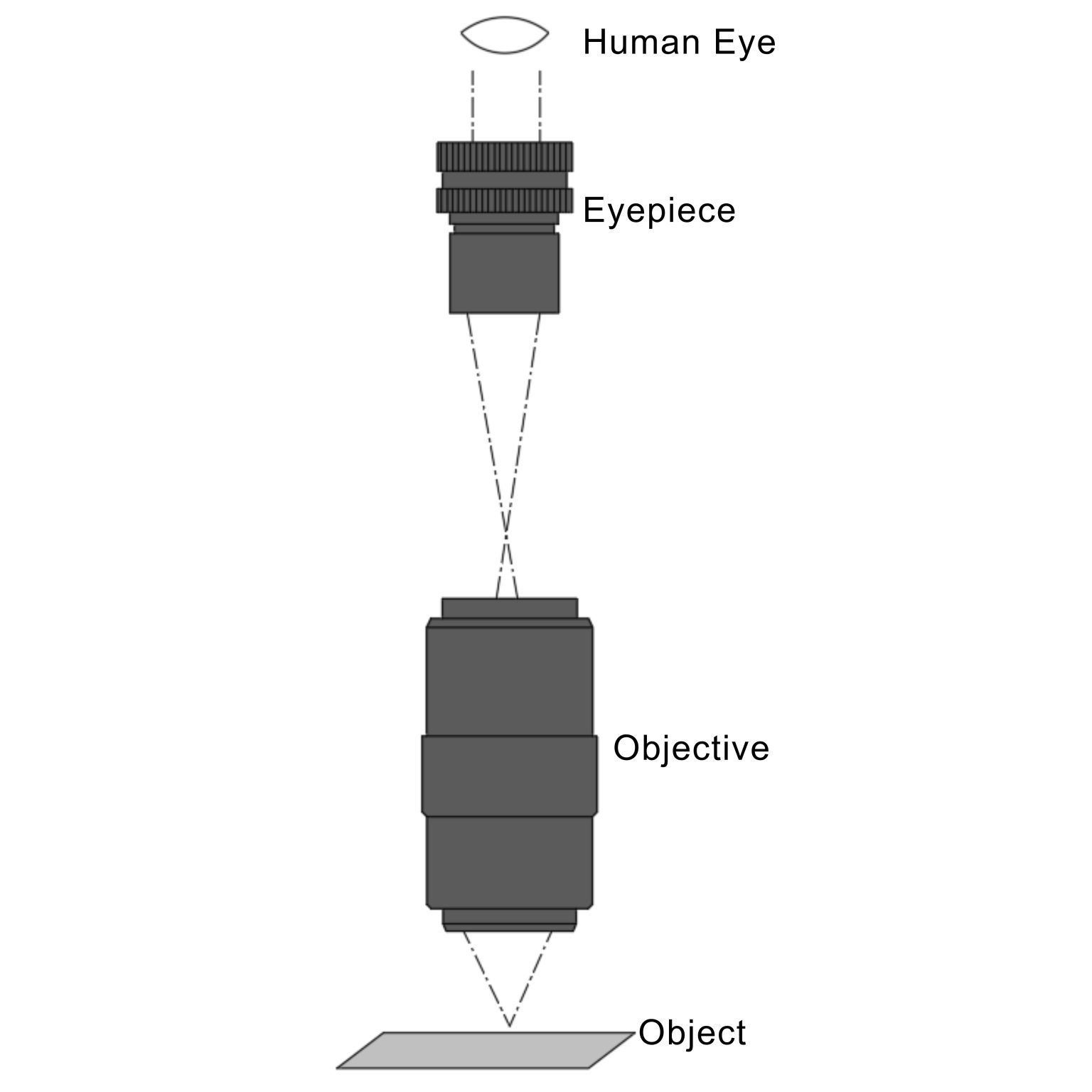 Infinite Conjugate Long Working Distance Microscope Objectives