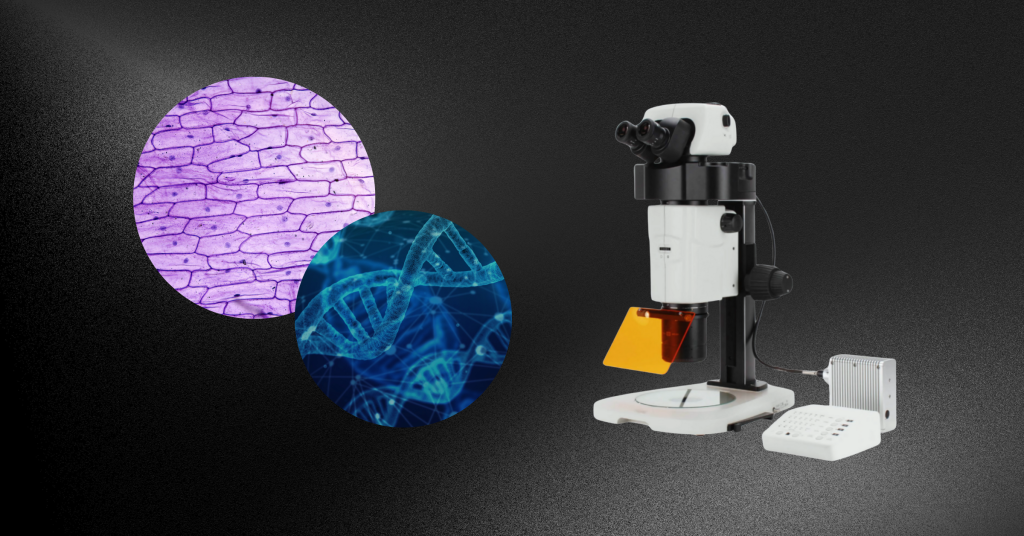 Research-Grade Stereo Microscopes - AVT018 Parallel Optics